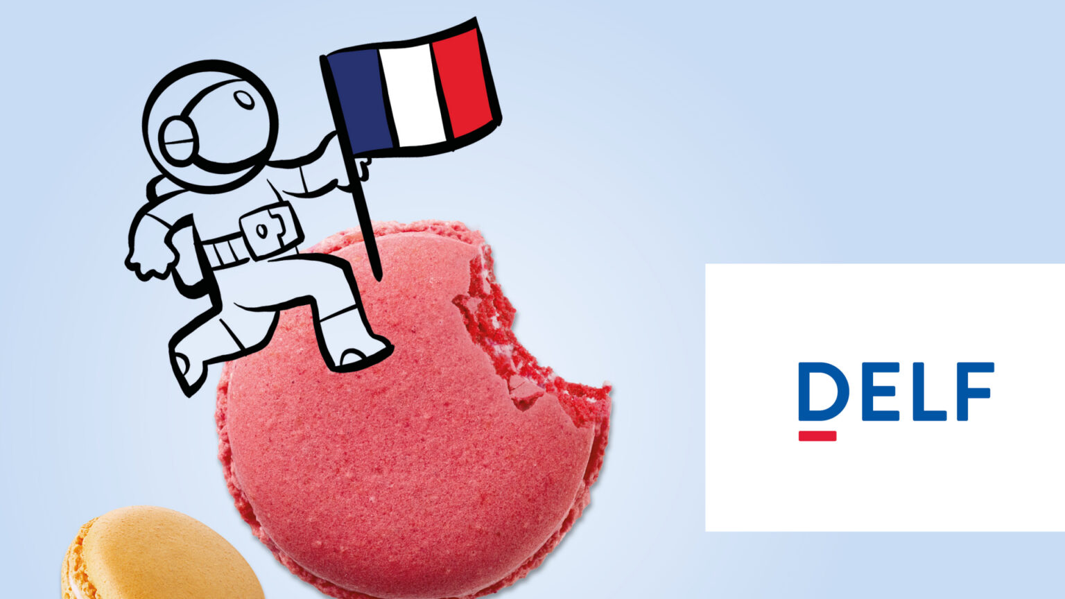 DELF French Exams | Alliance Française Dublin